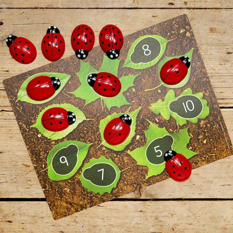 Ladybugs Counting Kit - Time Books