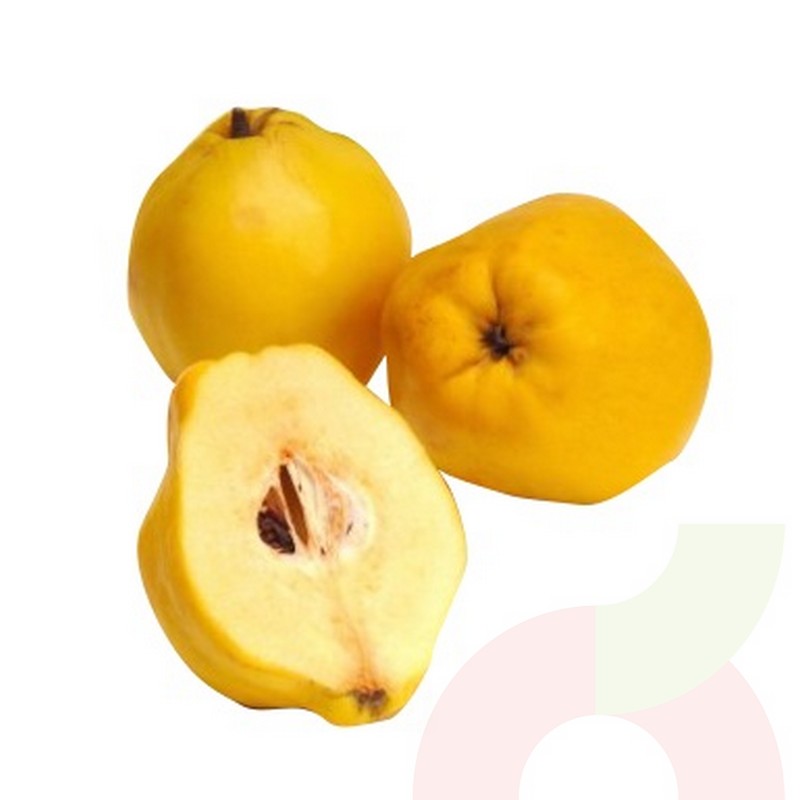 Membrillo 1Kg - Supermercados Eltit