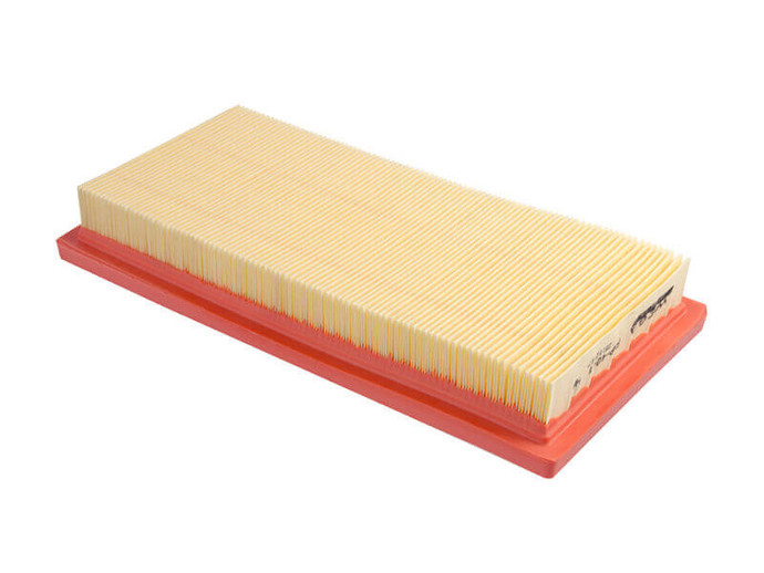 C2556 Filtro Aire Wega FAP-4041 - Antumalal