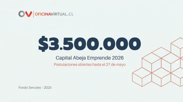 Capital Abeja Emprende 2026: Postulación y Qué Hacer Si Ganas | OV ...